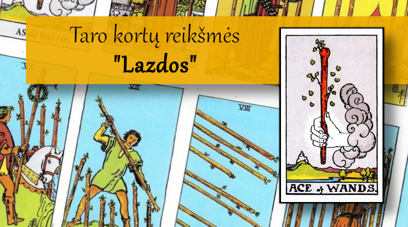 Lazdos - ZINIUONIS.LT